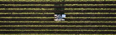 Expert Advisory Group adopt scope and format of High-Level Report ...